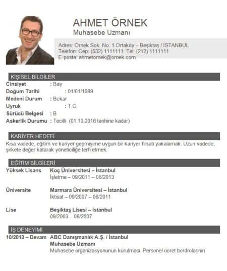 CV Örnekleri | Excel formatında Boş CV örneği İNDİR
